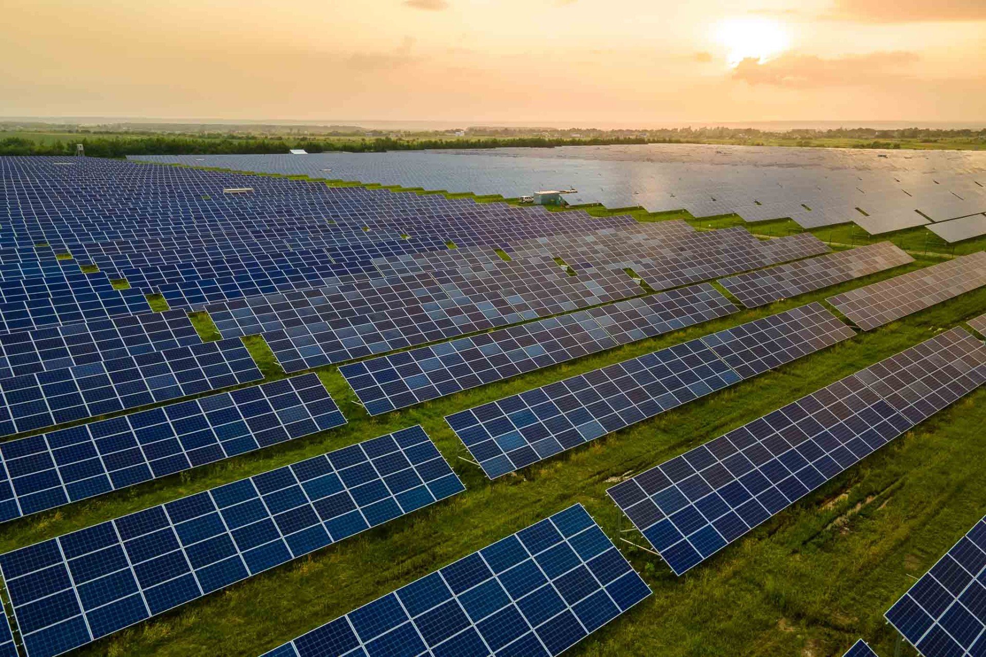 Sustainable Growth — Ersem